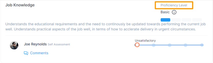 What is Proficiency level in Employee Review ? | Q&A | Profit.co